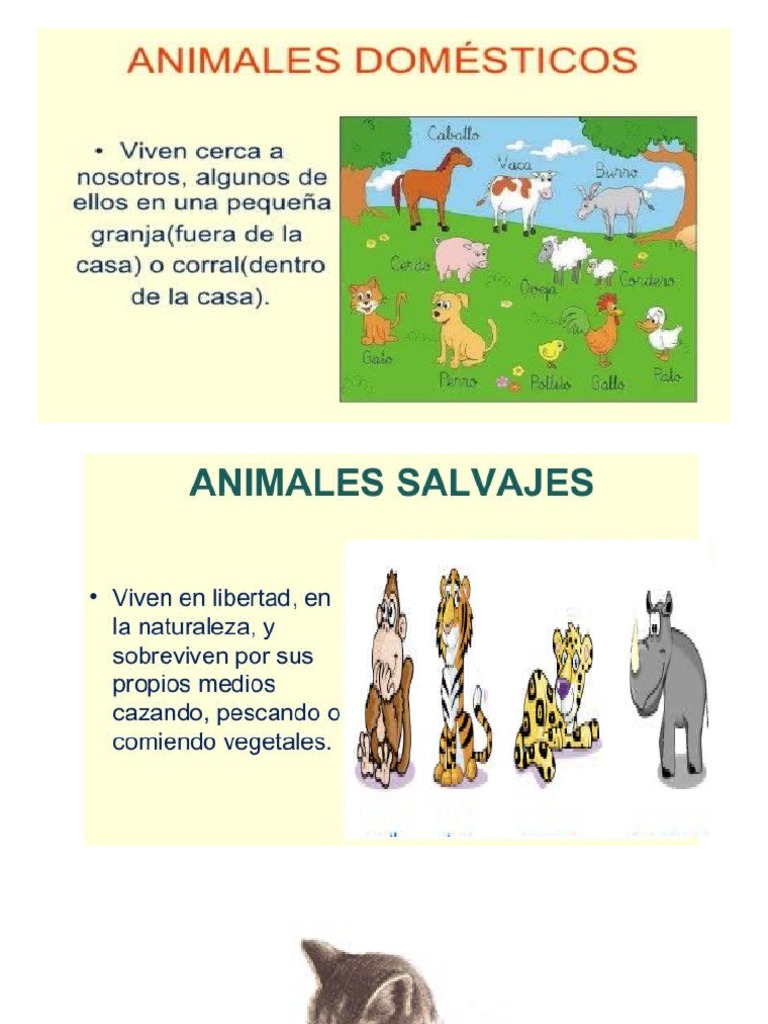 Animales Domésticos y Salvajes | PDF