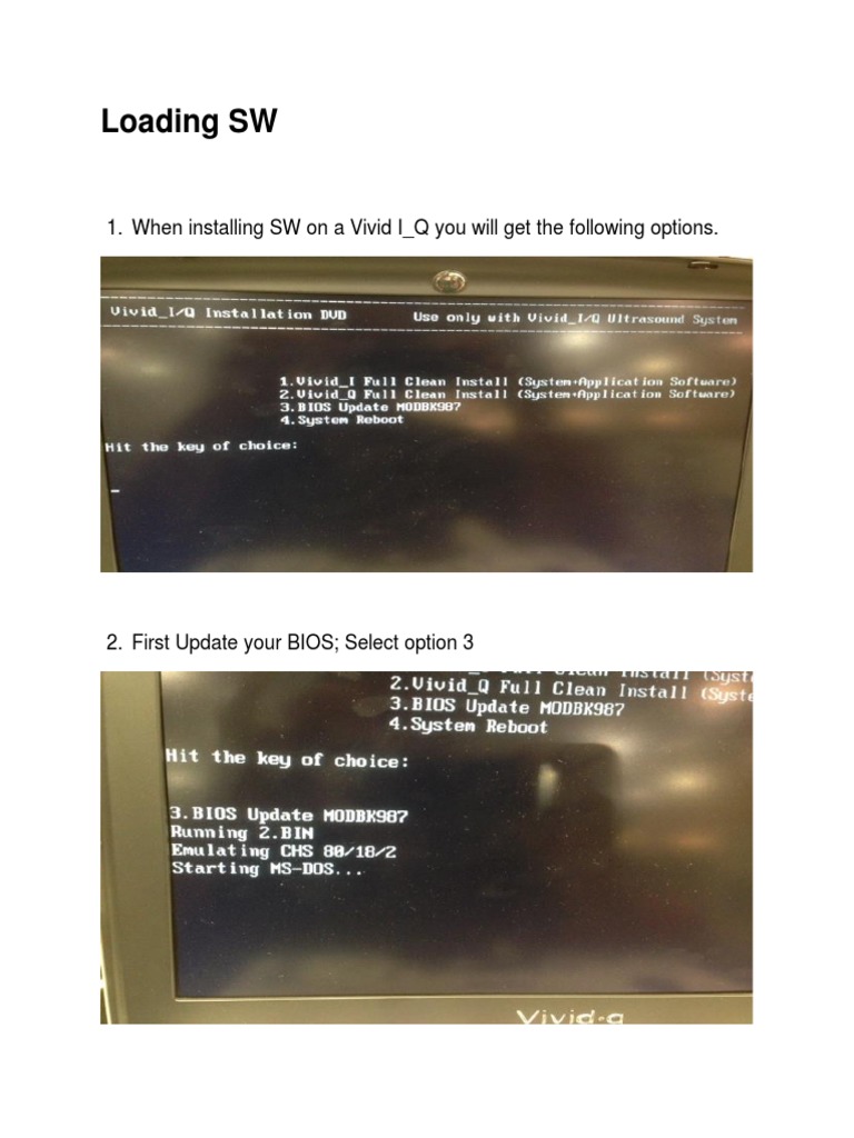 Loading SW: 1. When Installing SW On A Vivid I - Q You Will Get The ...