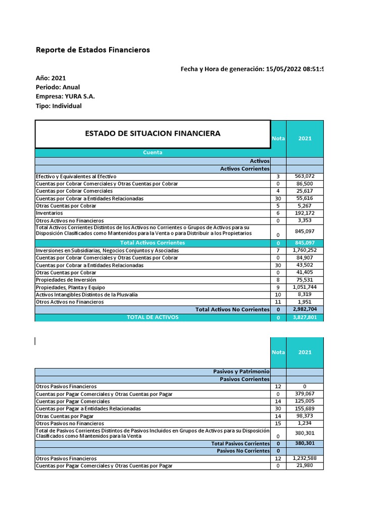 Yura Sa - 2021 | Descargar gratis PDF | Estado de resultados | Economias
