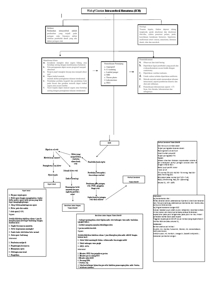 Perdarahan Intracerebral: Gejala dan Penanganan | PDF