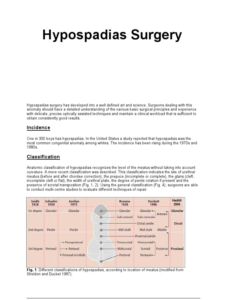 Hypospadia | Penis | Surgical Suture
