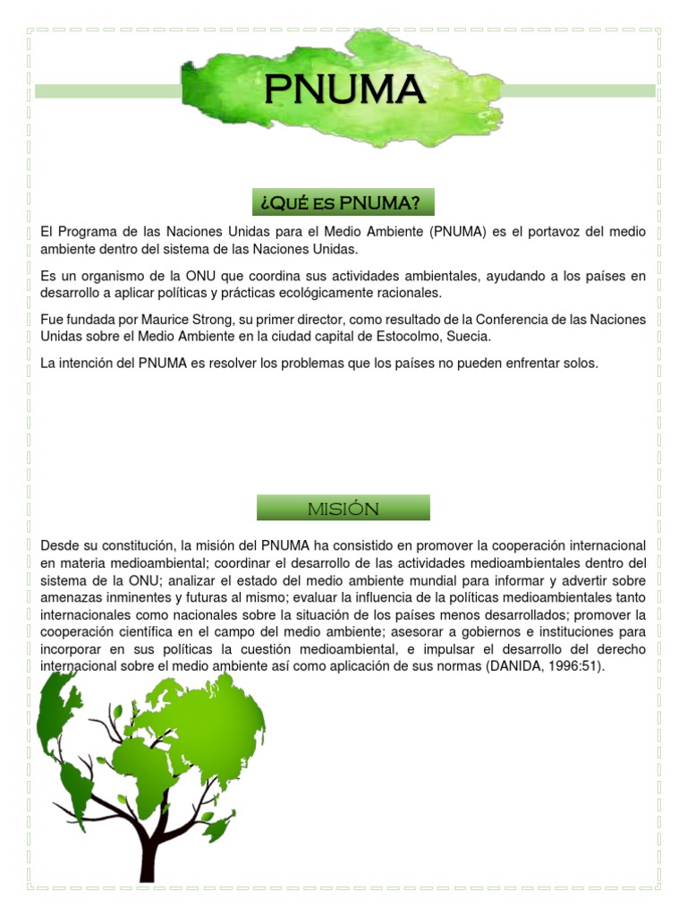 PNUMA | PDF | Programa del Medio Ambiente de las Naciones Unidas ...