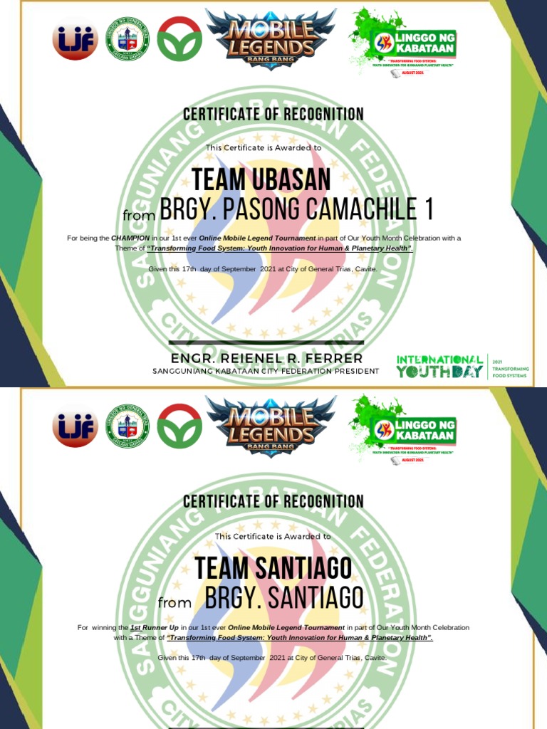 Ml Tourna Certificate | PDF