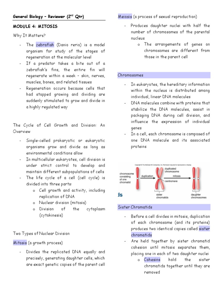 Reviewer For General Biology (Mitosis, Meiosis, Etc.) : Grade 11 STEM ...