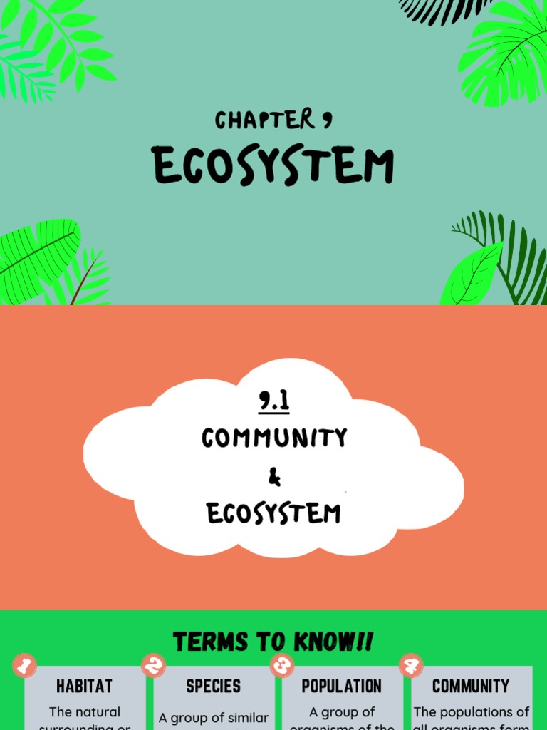 Ecosystem Dynamics in Biology F5 | PDF | Food Web | Soil