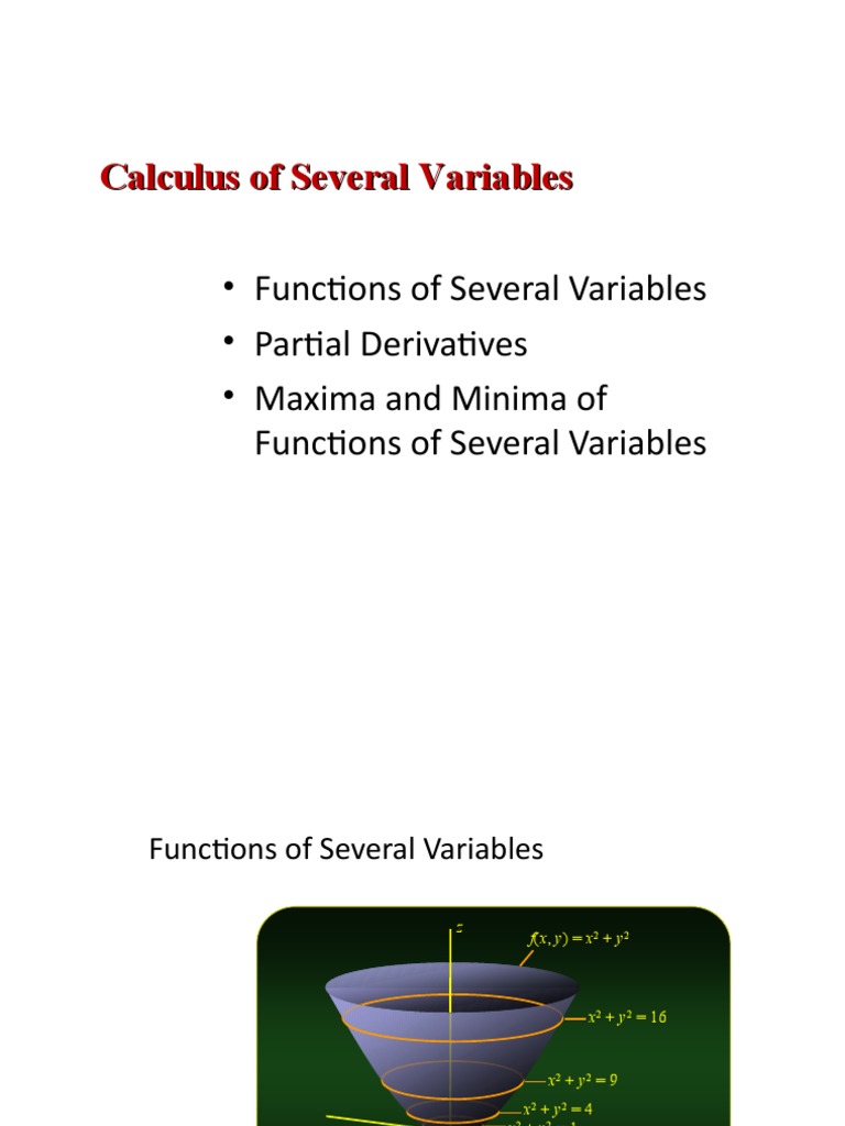 Calculus of Several Variables Guide | PDF | Demand | Price Elasticity ...