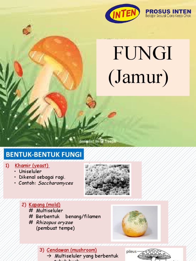 Jenis dan Bentuk-Bentuk Fungi | PDF | Sains & Matematika