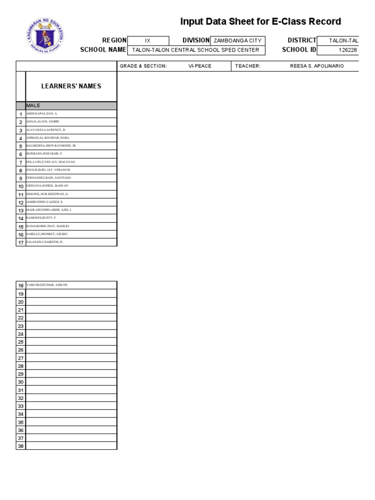 Input Data Sheet for E-Class Record | PDF