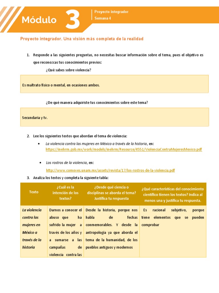 Proyecto Integrador Módulo 3 S4 Pdf Violencia Multiculturalismo