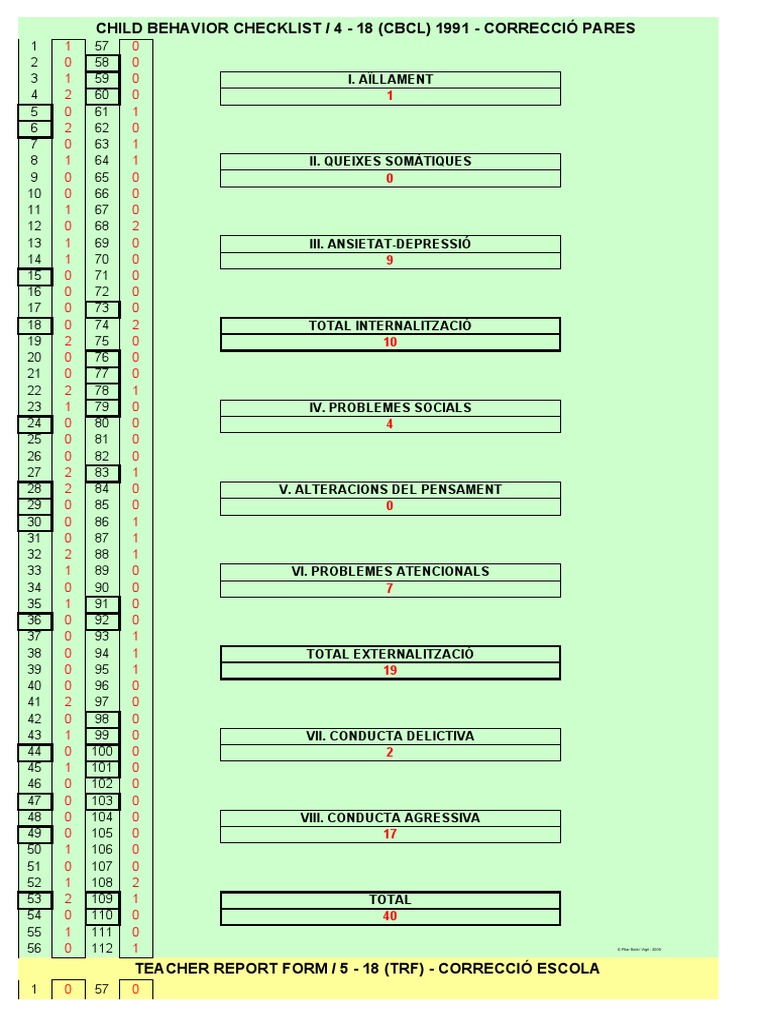 CBCL Corrección | PDF