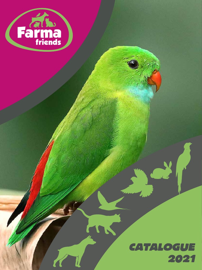 Farma Friends - Singiridou Eirini - Farma Friends Catalogue 2021 | PDF ...