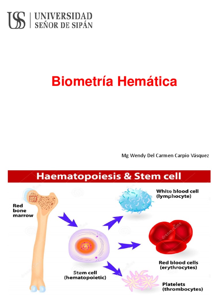 Biometría Hemática | PDF | Anemia | Glóbulo rojo