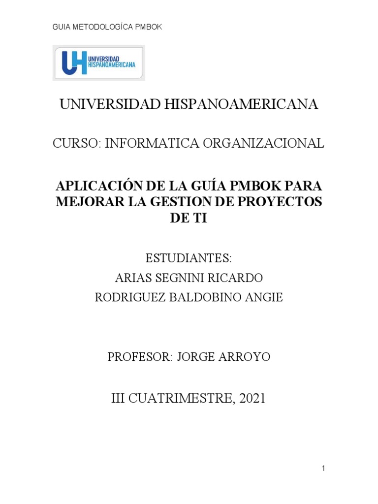 Proyecto-Informatica Organizacional | PDF | Gestión de proyectos | Business