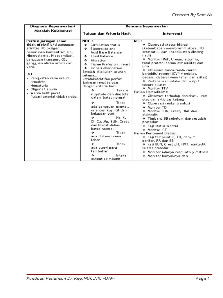 Rencana Keperawatan Perfusi Renal | PDF