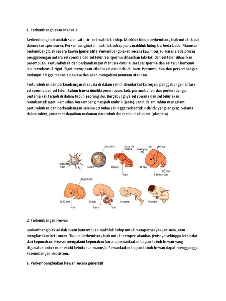 Perkembangbiakan | PDF | Pengembangan Diri