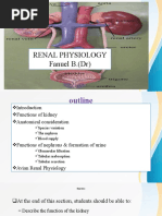 Pig Kidney Dissection | PDF | Kidney | Urinary System