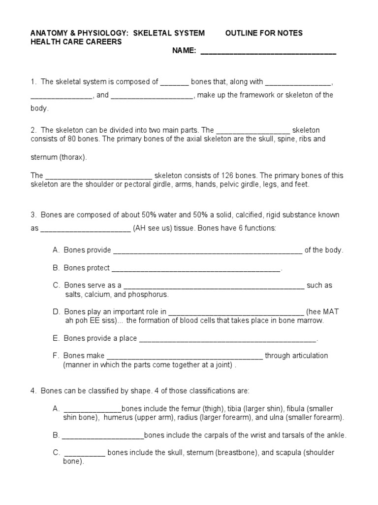Anatomy & Physiology: Skeletal System Outline For Notes Health Care ...