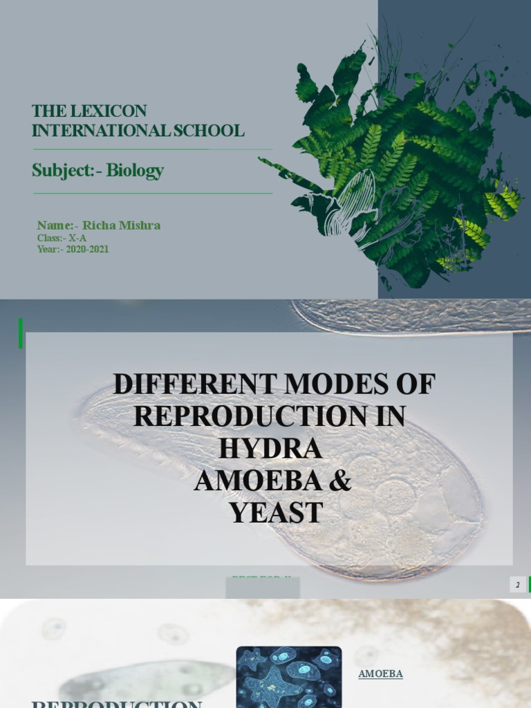 Subject:-Biology: The Lexicon International School | PDF | Reproduction ...