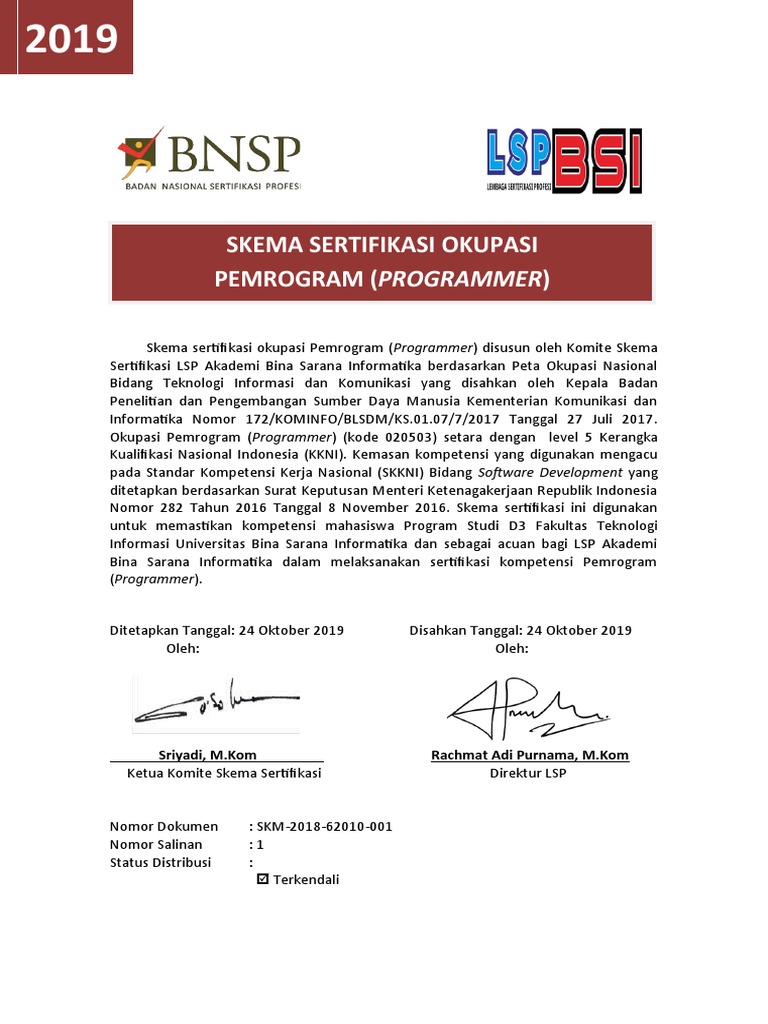 Skema Sertifikasi Programmer | PDF
