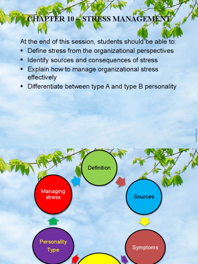 C10-Stress Management | PDF | Stress (Biology) | Social Support