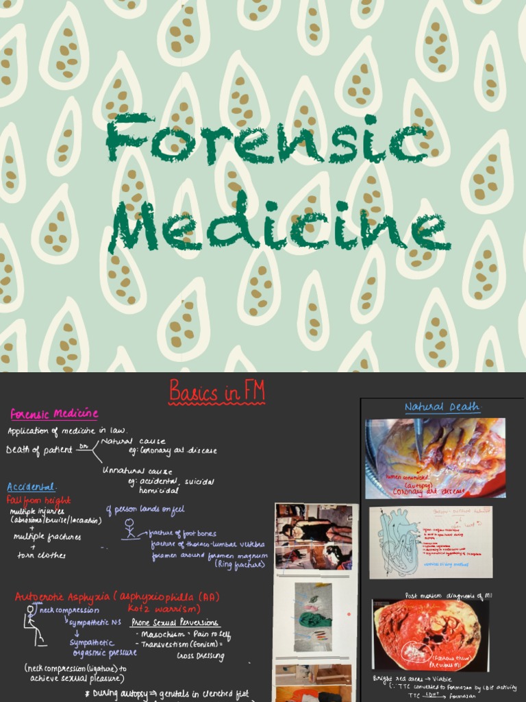 Forensic Insights on Hanging Deaths | PDF | Autopsy | Suicide