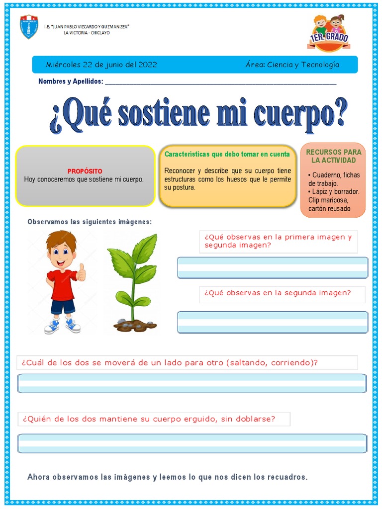 ¿Que Sostiene Mi Cuerpo - Ciencia y Tecnologia | PDF | Hueso