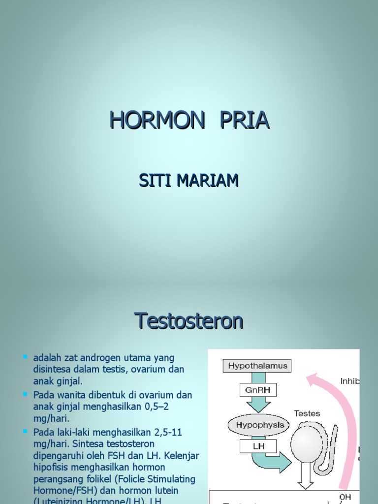 Hormon Pria | PDF
