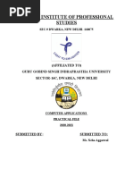 Ms Word Practical Assignment PDF | PDF | Microsoft Word | Microsoft Excel