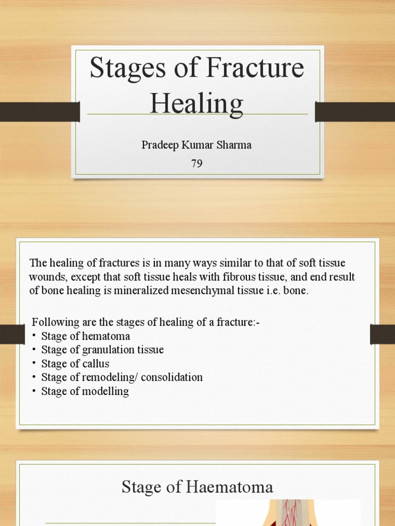 Fracture Healing Stages Explained | PDF