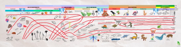Illustrated-Montessori-Timeline-of-Life | PDF | Geologic Time Scale ...