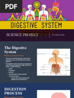 The Journey of A Cheese Sandwich! | PDF | Digestion | Digestive System