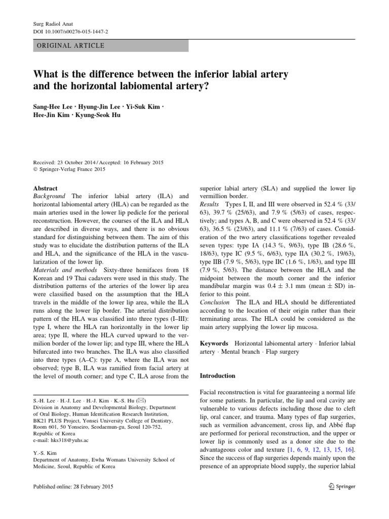 What's Difference Between The Inferior Labial Artery and Horizontal ...