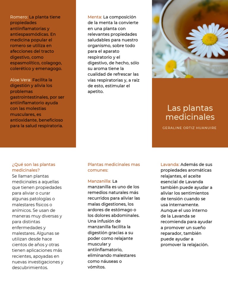 Tríptico de Plantas Medicinales | PDF