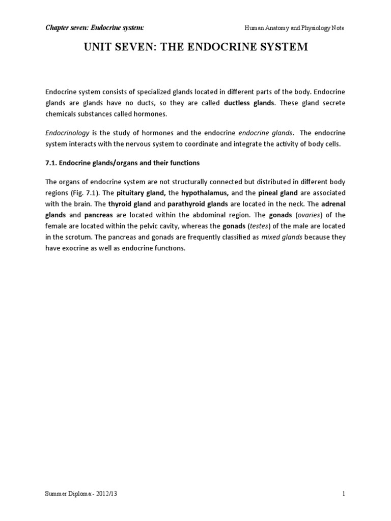 Unit Seven: The Endocrine System | PDF | Endocrine System | Adrenal Gland