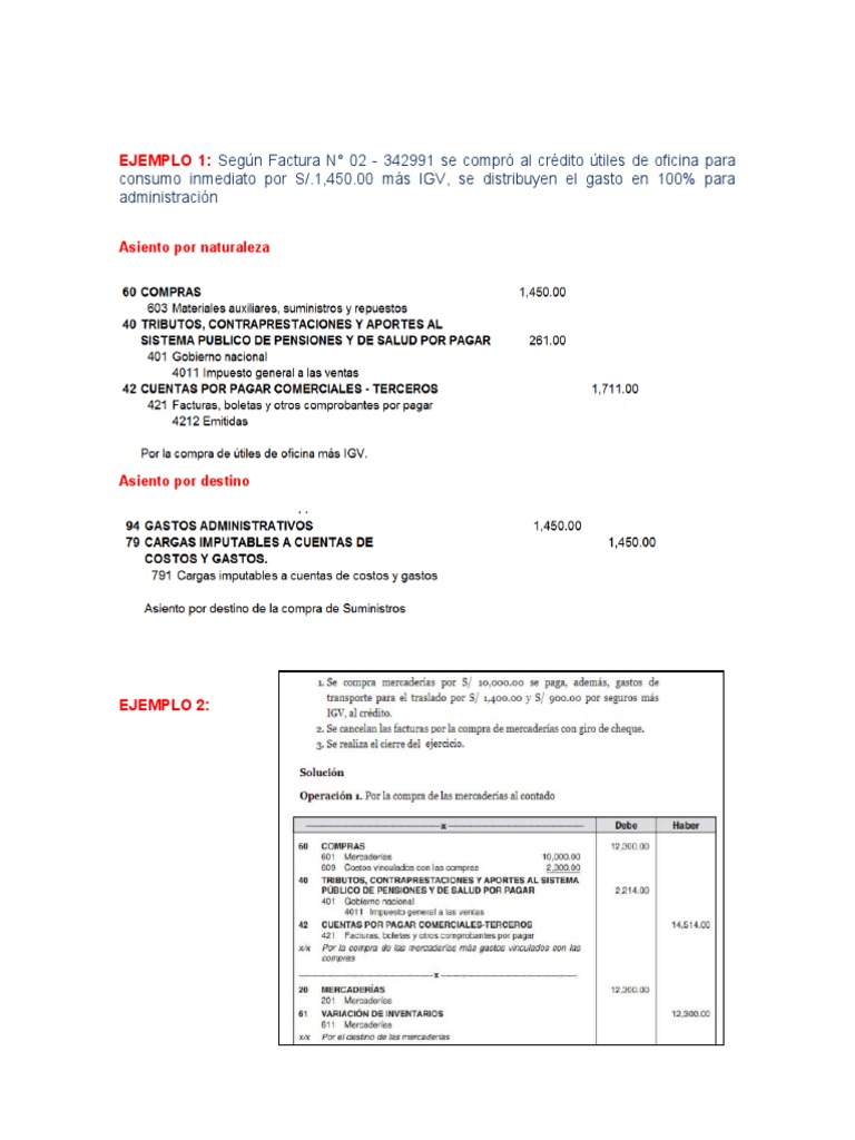 Ejemplo de Asiento Naturaleza y Destino | PDF