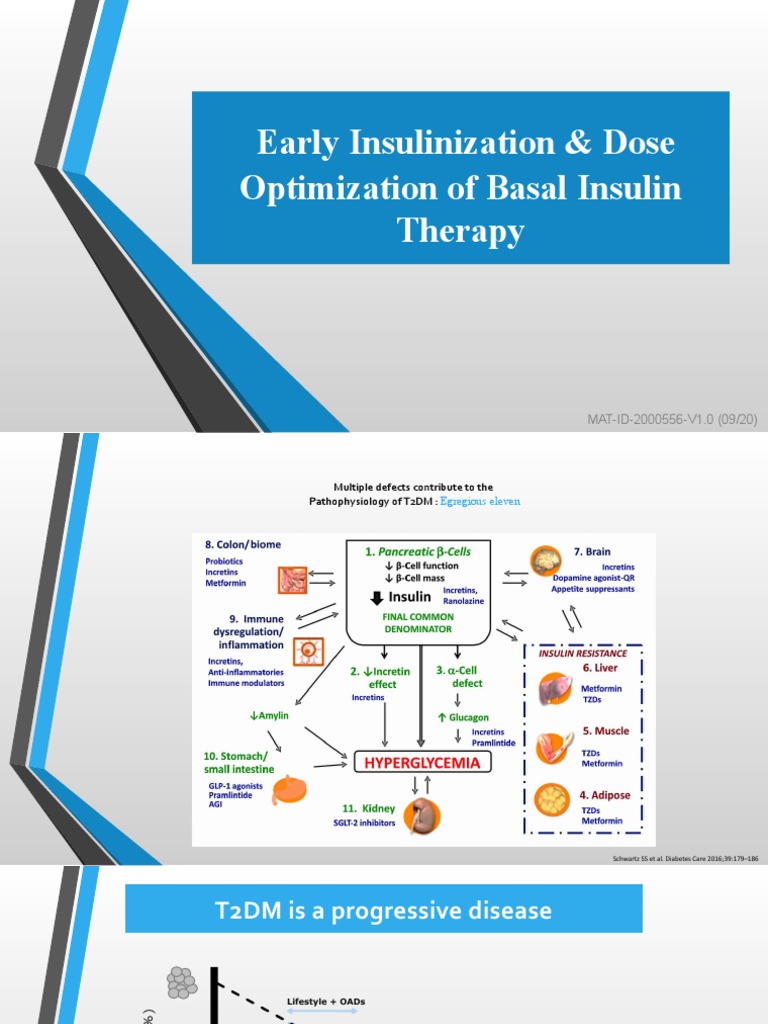 1 - 4M Early Insulinization and Dose Optimization of Basal Insulin ...