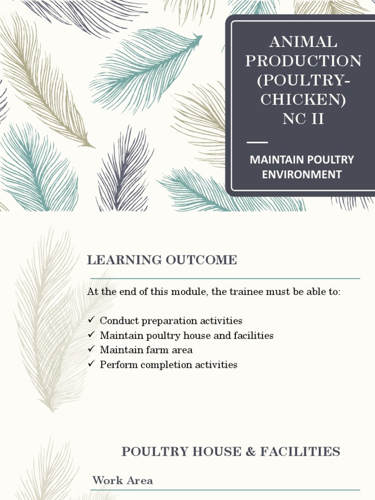 Poultry Farm Maintenance Guidelines | PDF | Chicken | Avian Influenza