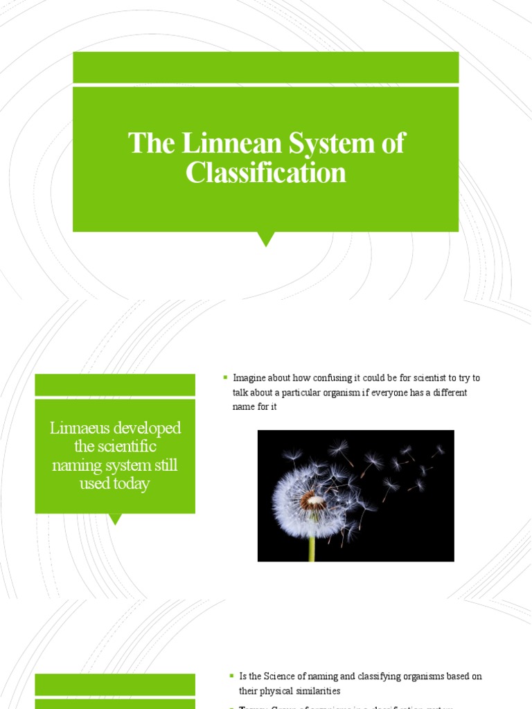 The Linnean System of Classification | PDF