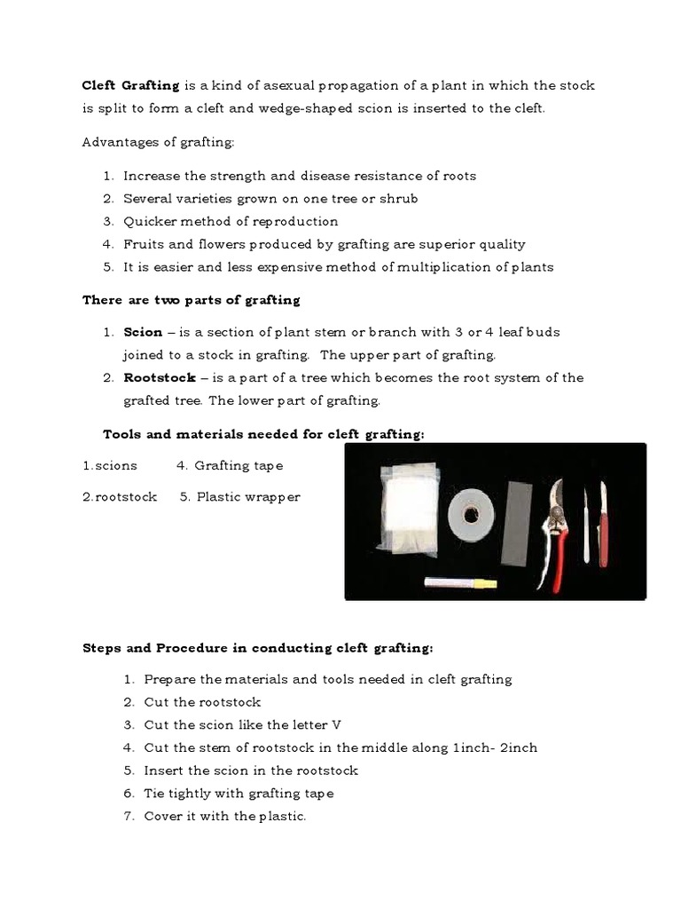 How to Perform Cleft Grafting for Plant Propagation | PDF