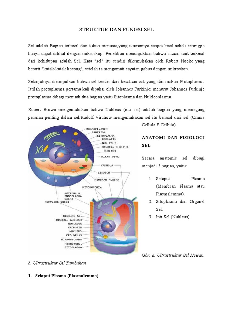 Struktur dan Fungsi Sel dalam Biologi | PDF