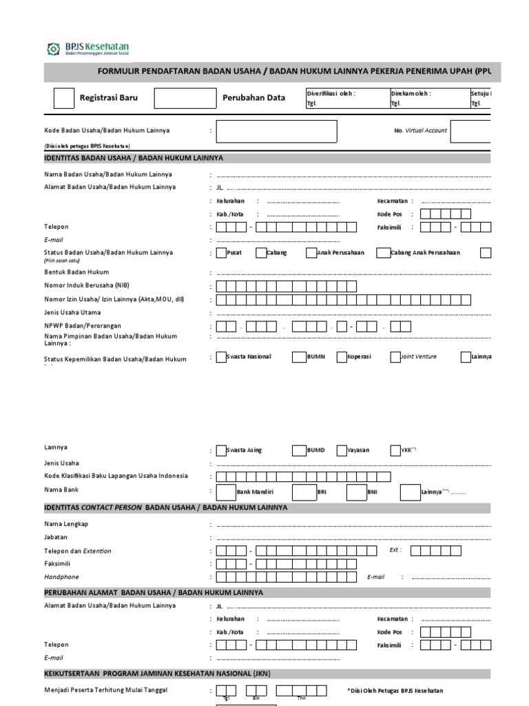 Formulir Registrasi Badan Usaha | PDF