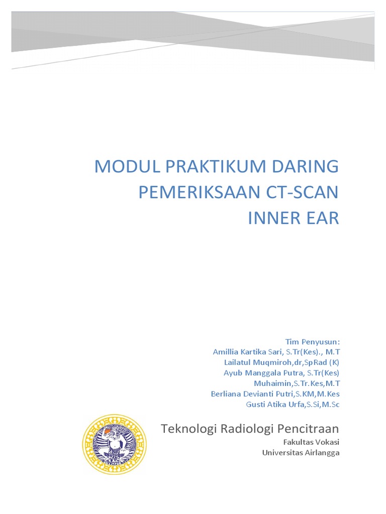 Modul CT-Scan Inner Ear | PDF