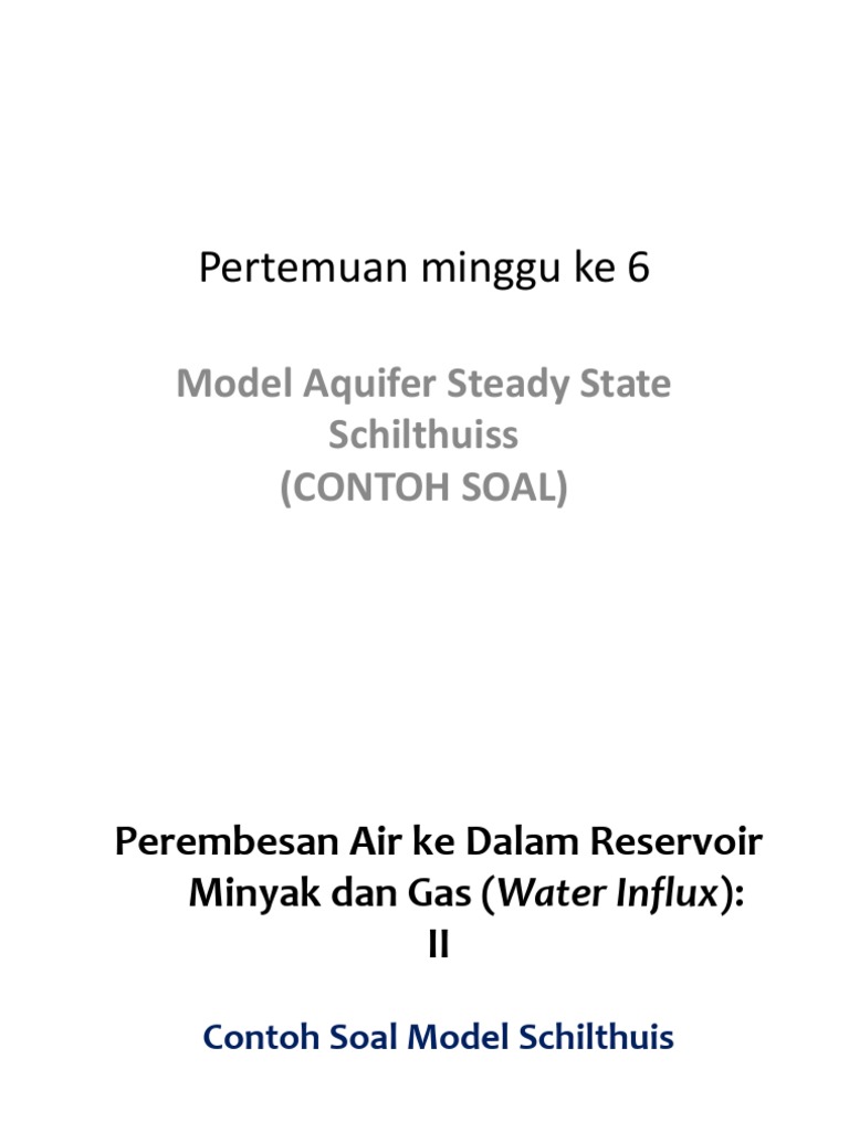 5 - Model Steady State Schillthuis | PDF