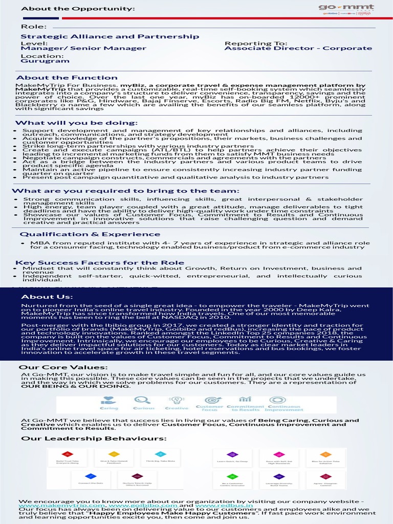 Opportunity Profile For Strategic Alliance & Partnership Role ...
