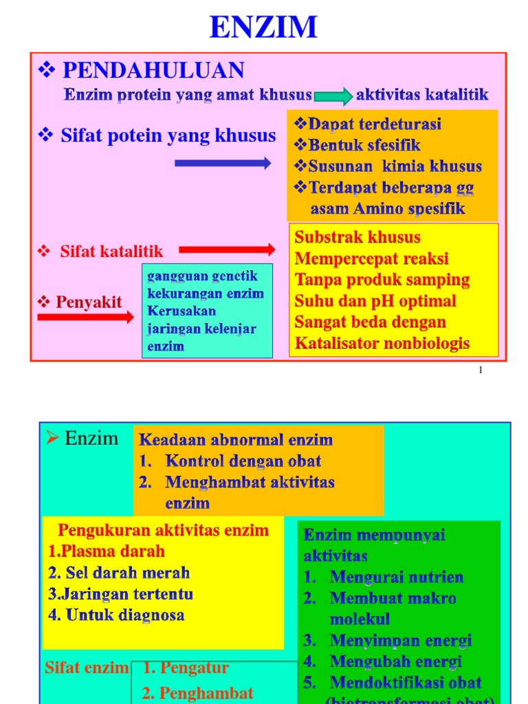 1a Enzim | PDF | Sains & Matematika