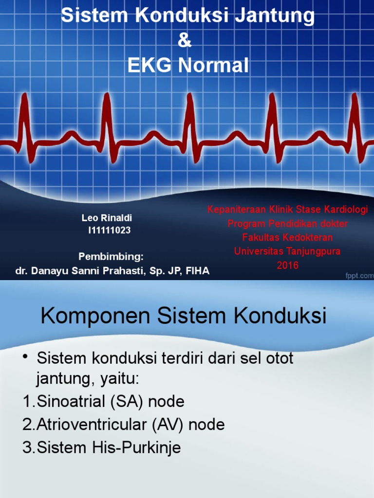 SKJ Ekg Normal | PDF