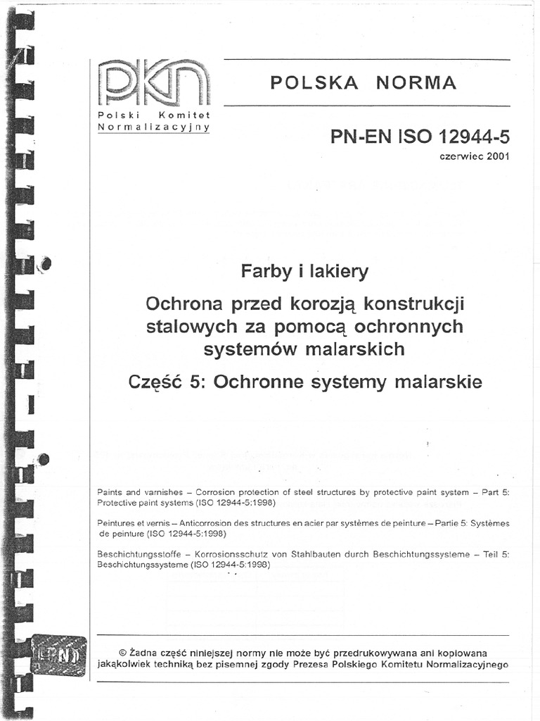 PN-EN ISO 12944-5 Farby I Lakiery. Część 5. Ochronne Systemy Malarskie | PDF