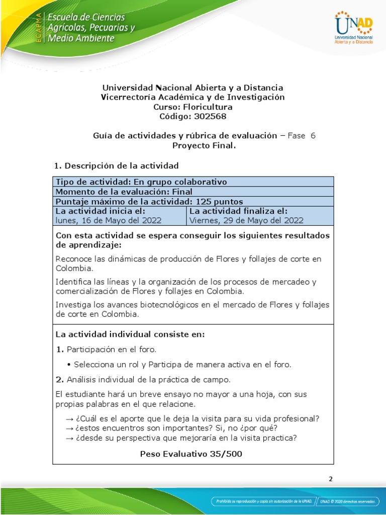 Guia de actividades y Rฃbrica de evaluaciขn. Fase 6 Proyecto final | PDF | Evaluación | Plagio
