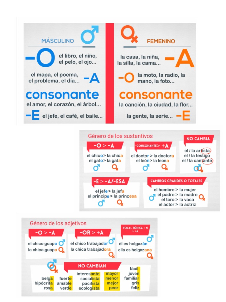 Genero y Numero de Los Sustantivos y Adjetivos | PDF