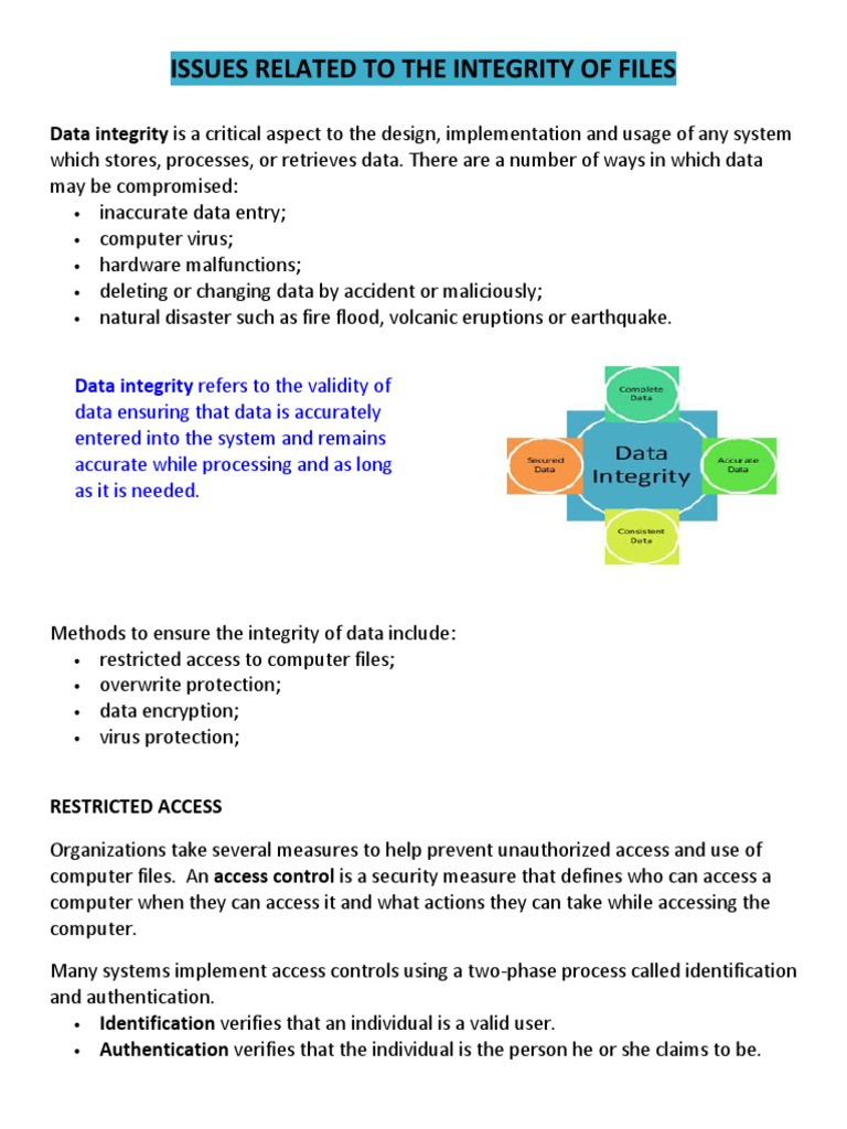 Issues Related To The Integrity of Files | PDF | Computer Virus | Antivirus Software